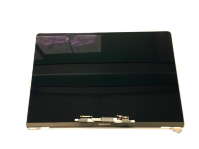 Apple MacBook Pro A1990 15" LCD Screen Assembly Space Gray | eBay