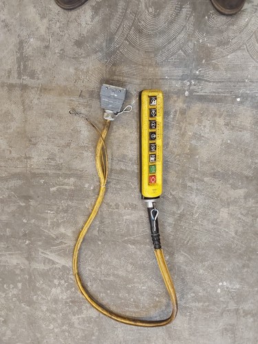 TER PENDANT REMOTE CONTROL FOR HOIST CRANE NEW | eBay