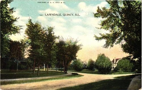 Lawndale Street View Trees Quincy Illinois Postcard Posted 1908 | eBay