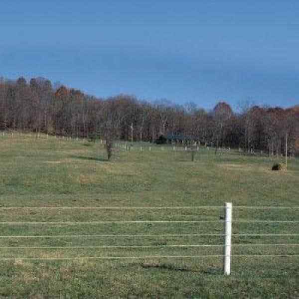 PolyPlus White Horse Fence Wire 1320 ft. 12.5-Gauge Safety Coated High ...