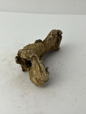 Battle Of Gettysburg Civil War Lead Sabot Shell Fragment 4.3 oz. (S.G ...