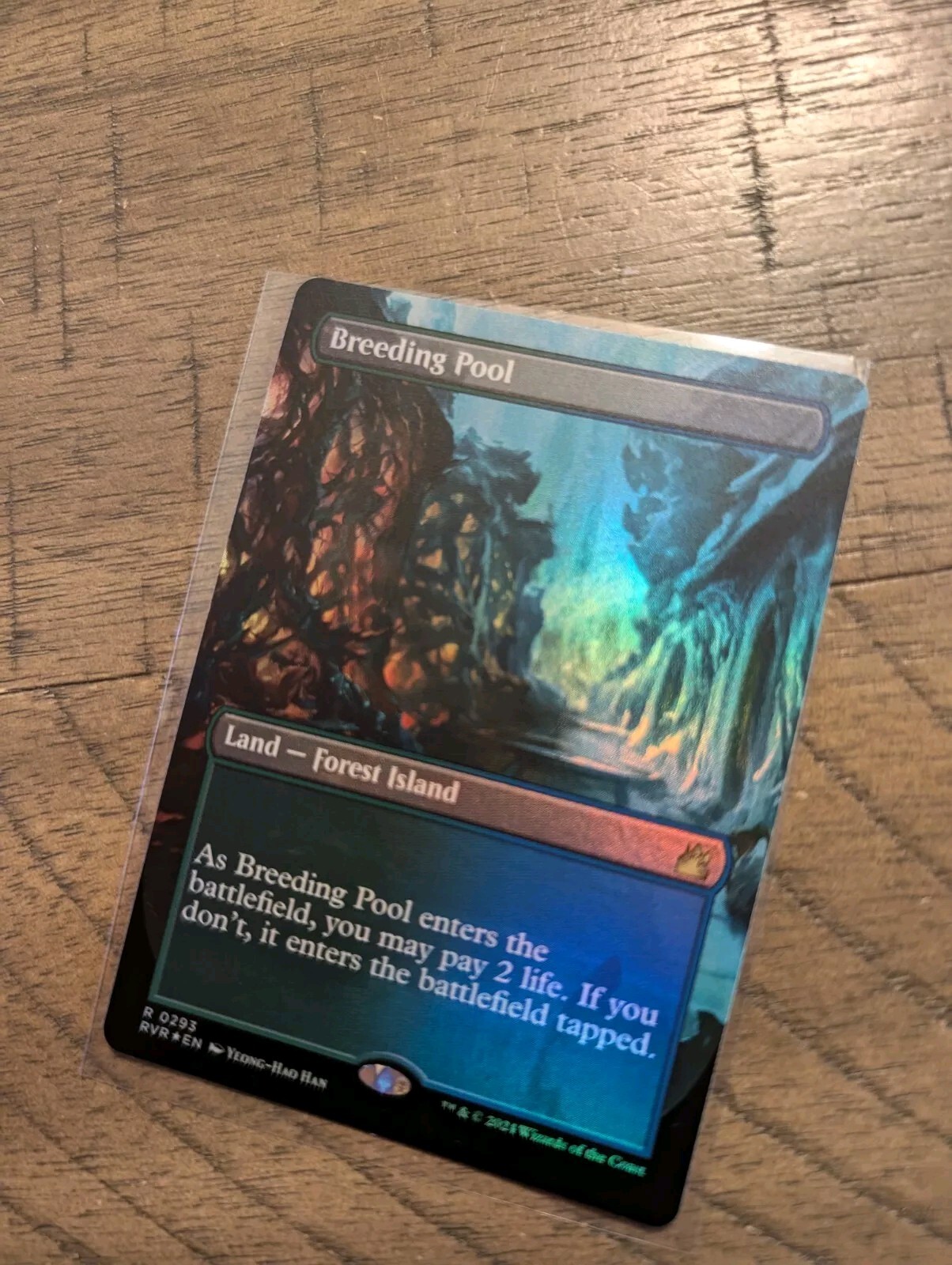 Breeding Pool (Borderless) (FOIL) | RVR 293 | MTG | eBay