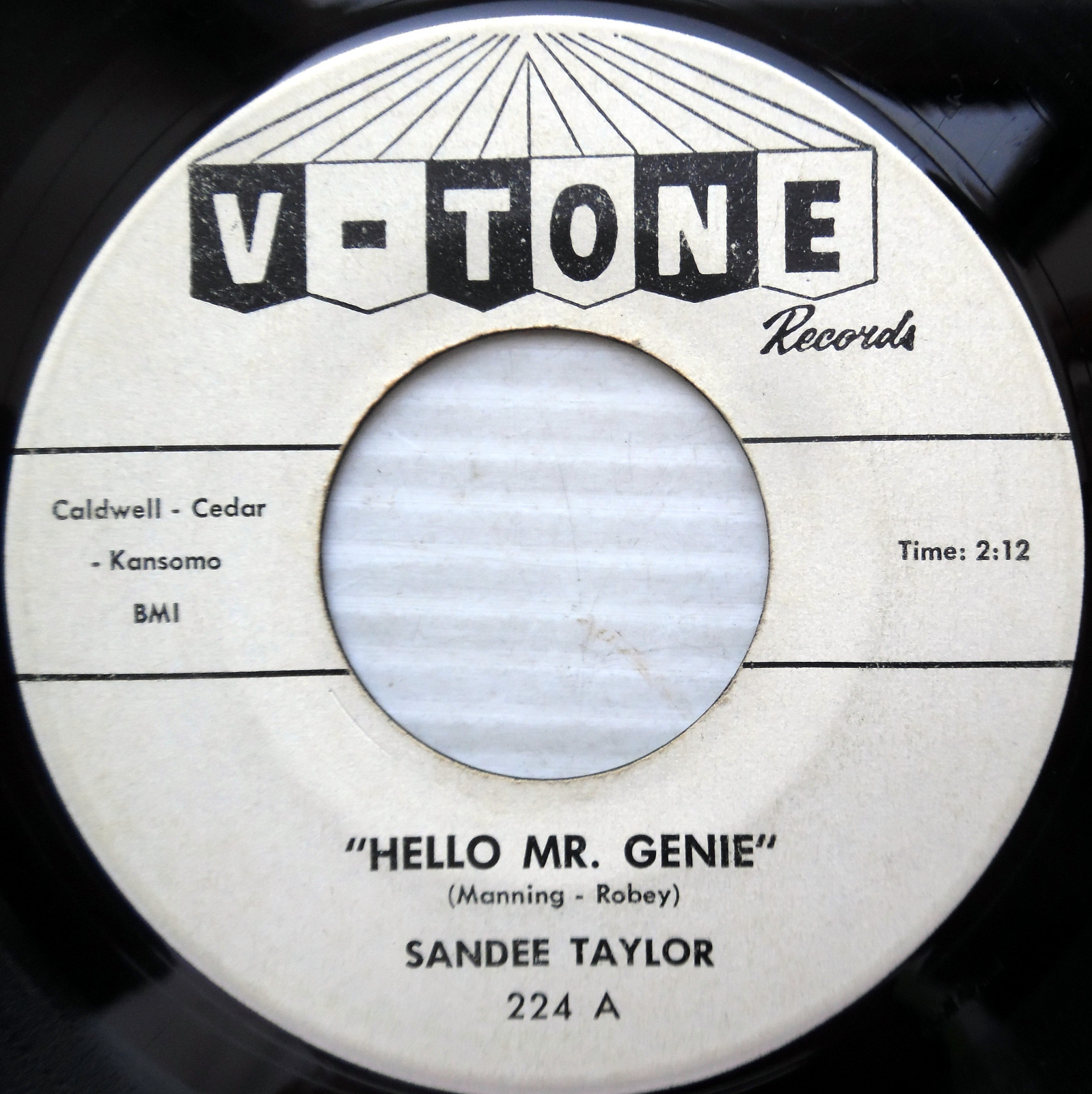 SANDEE TAYLOR teen pop novelty promo 45 HELLO MR GENIE LOVE BIRD vg V ...