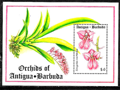 #8554 ANTIGUA BARBUDA 1994 FLORA FLOWERS ORCHIDS S/SHEET YV BL286 MNH ...