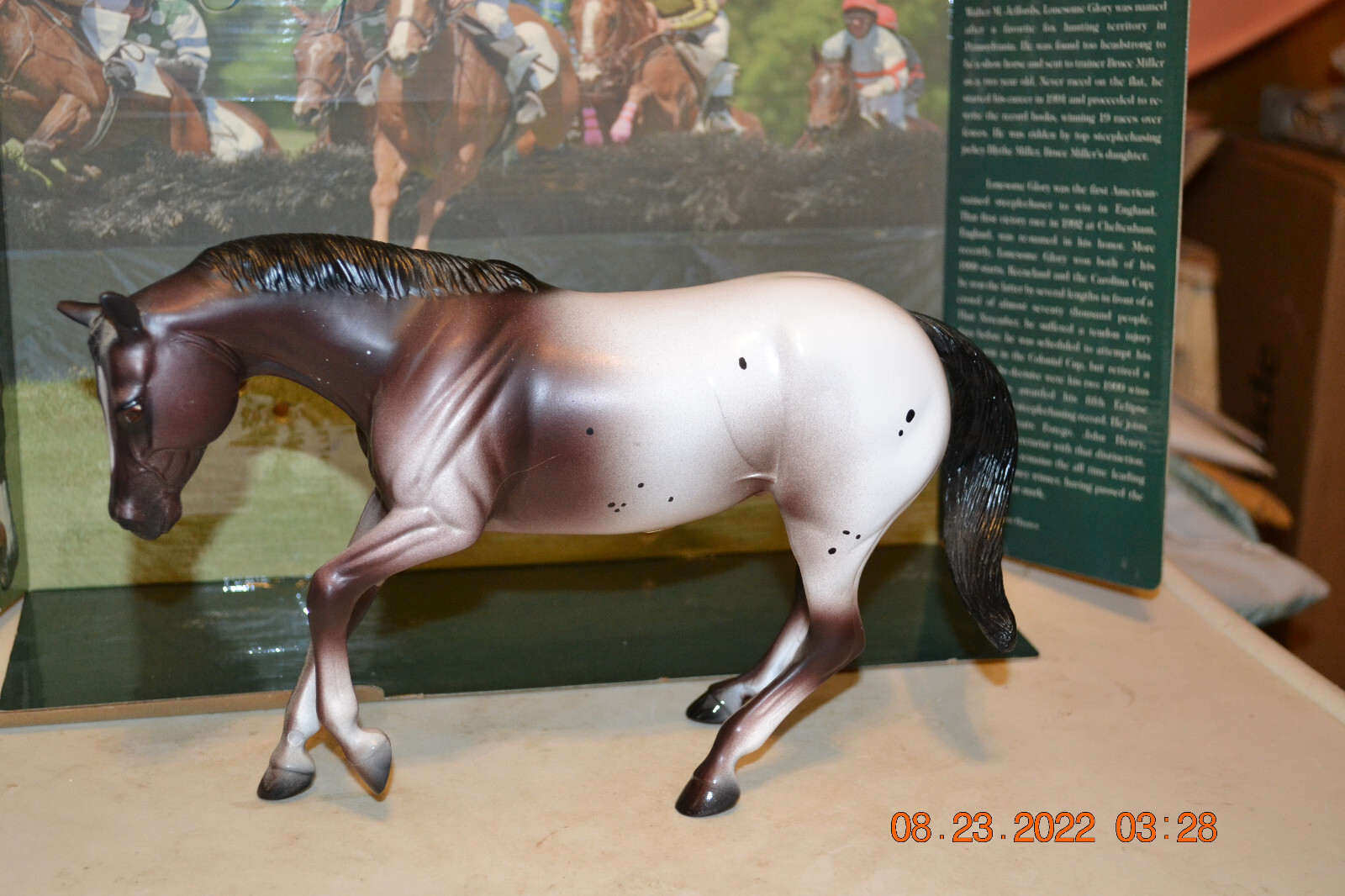 Peter Stone Appaloosa Horse Performance Horse | eBay