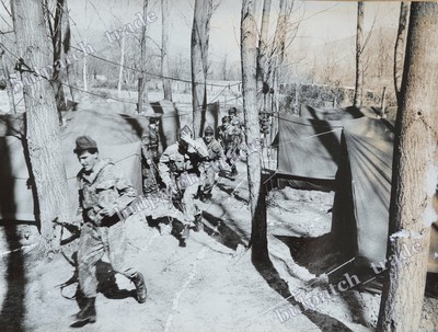 Bulgarian Army Military Archives Photo Picture of Training Soldiers ...