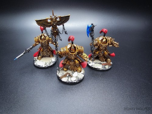 Warhammer 40k Adeptus Custodes Allarus Terminators x3 #3 Painted ...