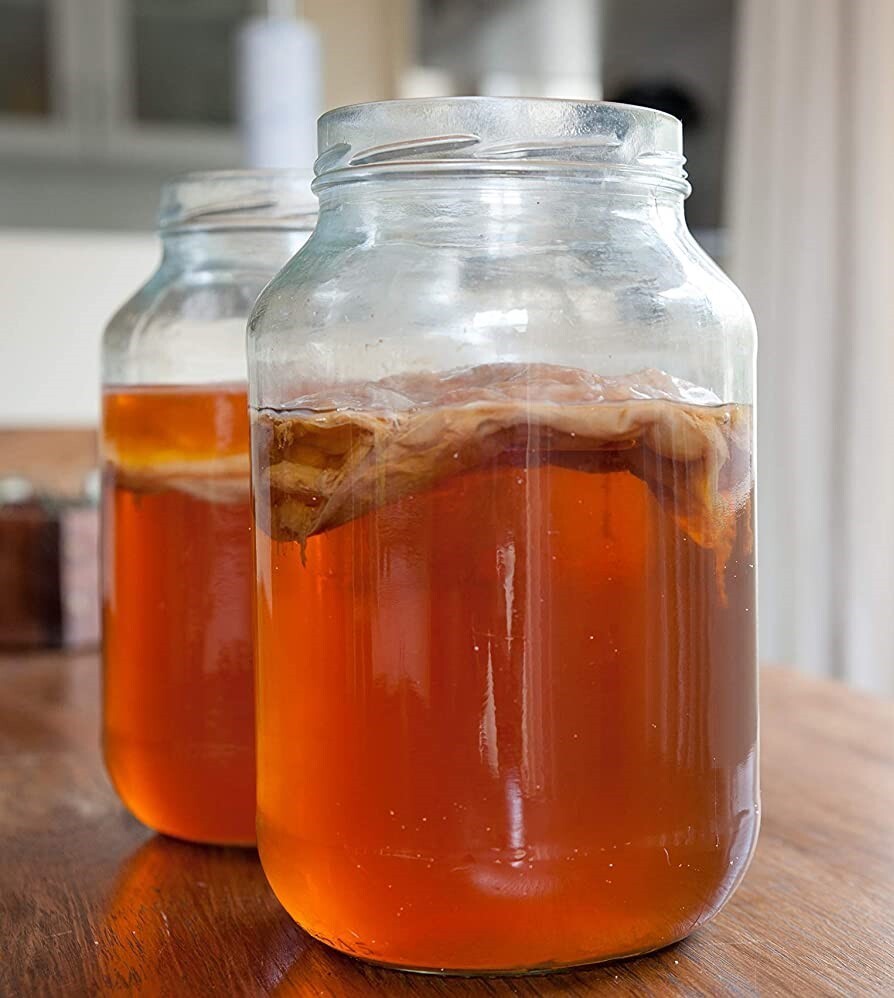 Kombucha Tea Scoby