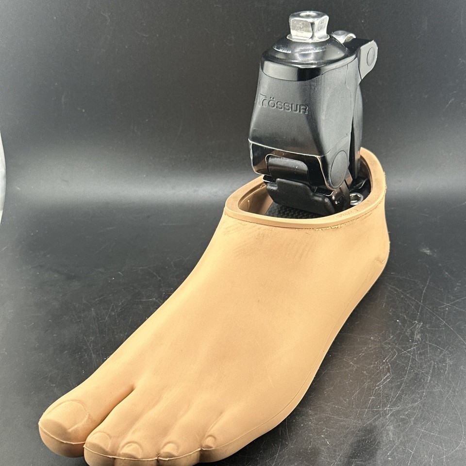 Ossur Proflex Pro-flex Pivot Prosthetic Foot. Size 26. Left Foot ...