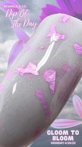 Sparkle & co Nail Dip Powder Gloom to Bloom DOTD Gray Base Purple Lilac ...