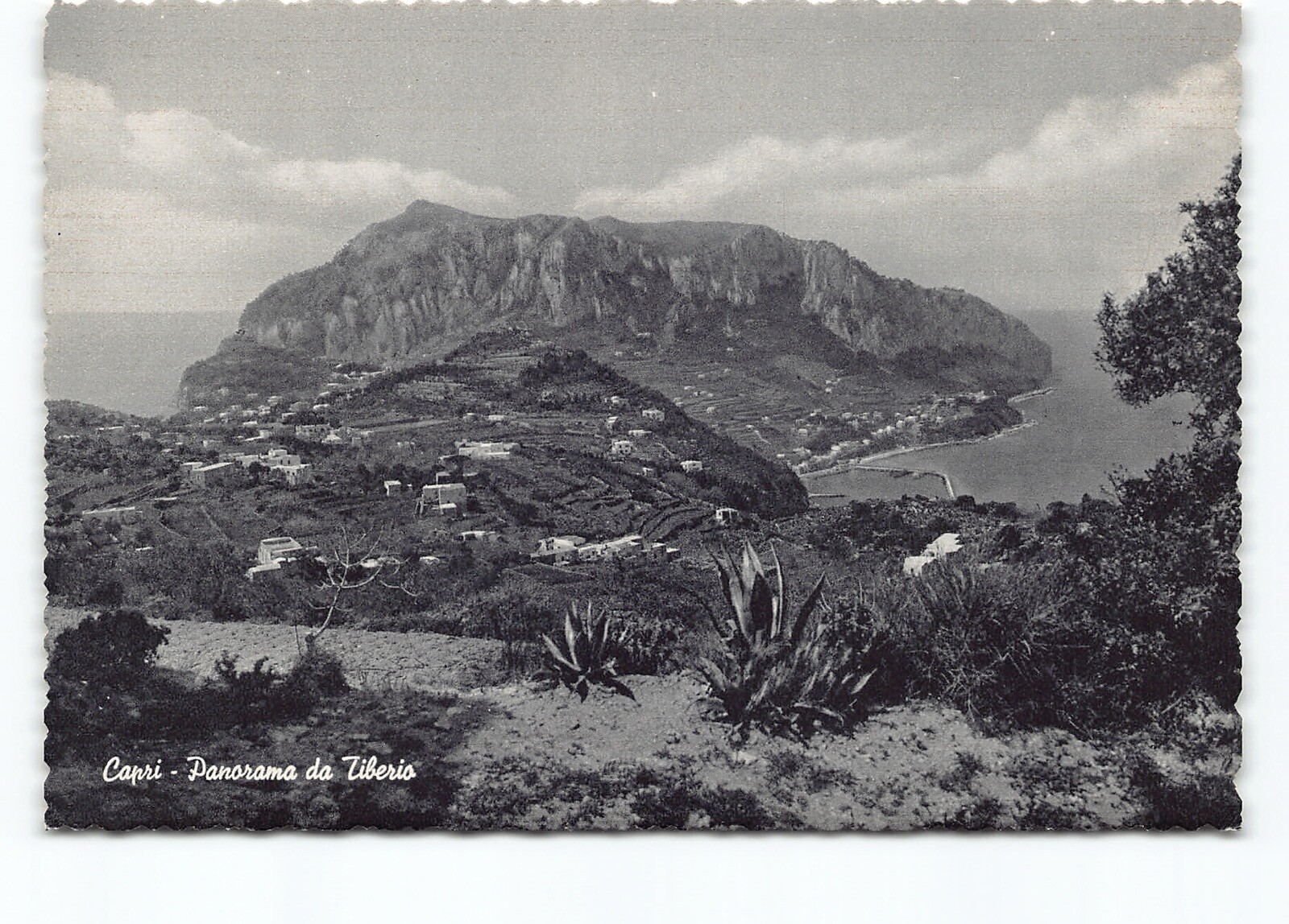Panorama From Tiberio Capri Italy Cont Postcard Vtg Unposted | eBay