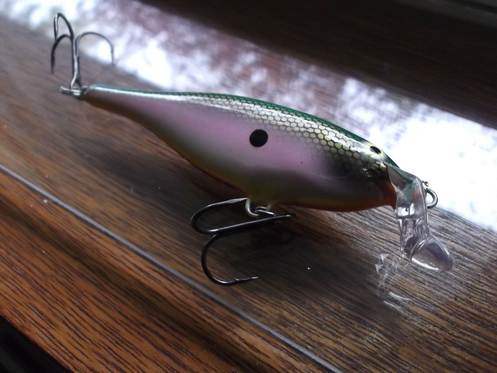 Custom Painted Rapala Shallow Shad Rap SSR-9 Fried Green Tomato | eBay