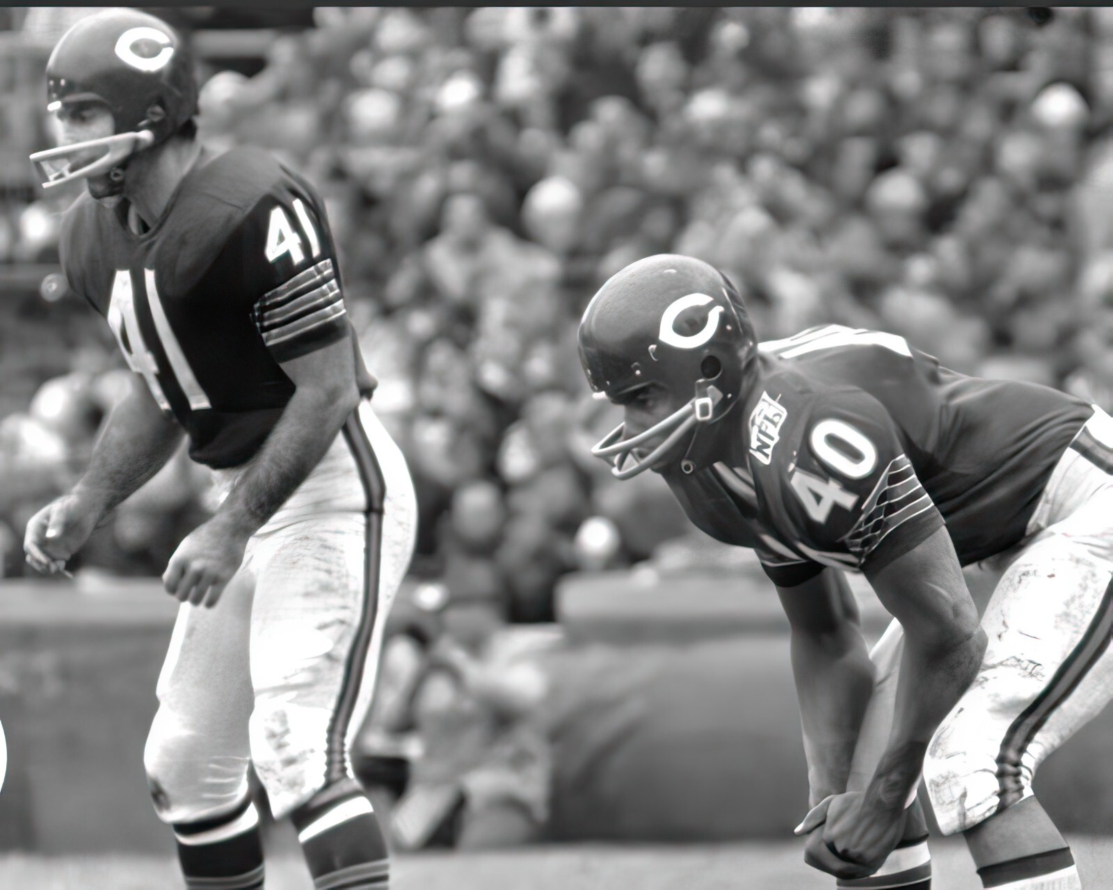 CHICAGO BEARS Brian's Song BRIAN PICCOLO GALE SAYERS Classic Retro ...