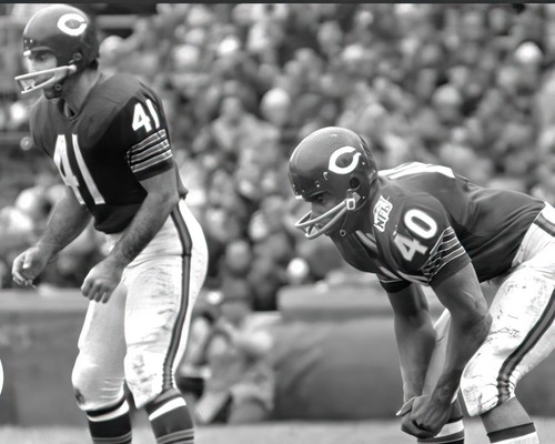 CHICAGO BEARS Brian's Song BRIAN PICCOLO GALE SAYERS Classic Retro ...