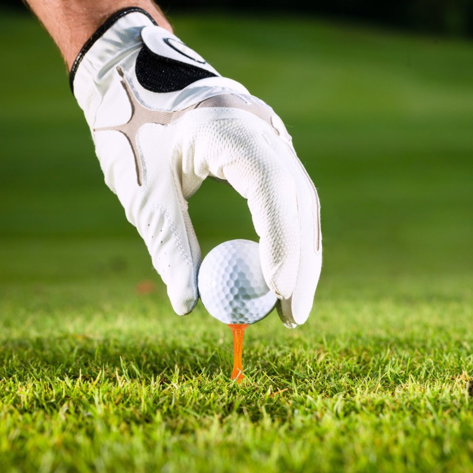 10pcs Wheel Shape Golf Tee For Precision Alignment And Stability Step ...