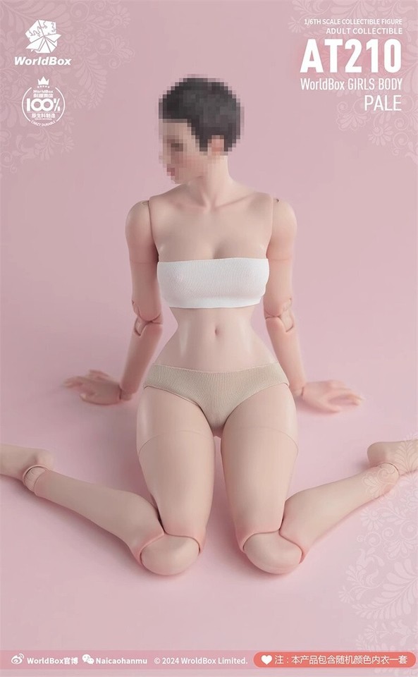 USA 1/6 Worldbox AT210 Pale Female Body Skinny Waist Figure For 12" Hot ...