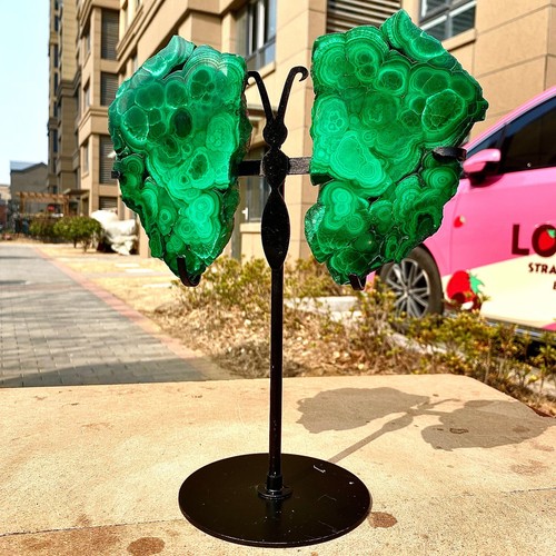 1.27+1.19LB Natural crystal Malachite wing Crystal Healing + brackets ...