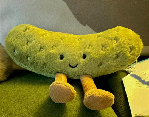 6” Amusable Pickle Soft Plush Toy For Kids And Adults Fun Collectibles ...
