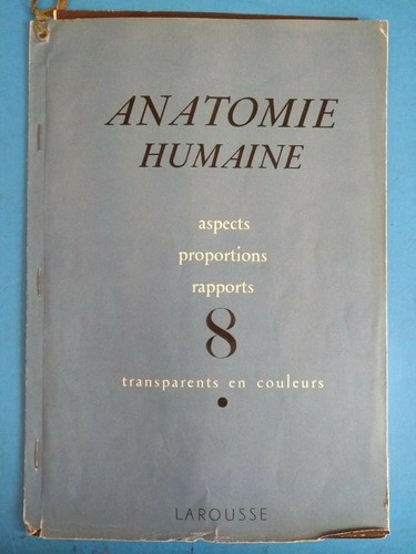 Anatomie humaine, aspect, proportion, rapports. Transparents en ...