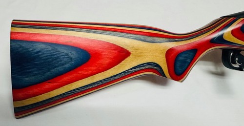 Daisy Avanti 888 Medalist .177 Caliber Air Pellet Rifle | eBay