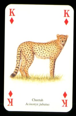 1 x playing card animal Cheetah King of Diamonds ZU 20 | eBay Australia
