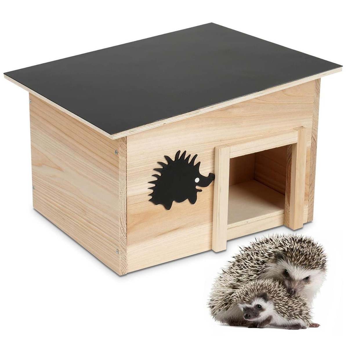 Hedgehogs Habitat 2,356 Hedgehog Natural Habitat Stock Photos,