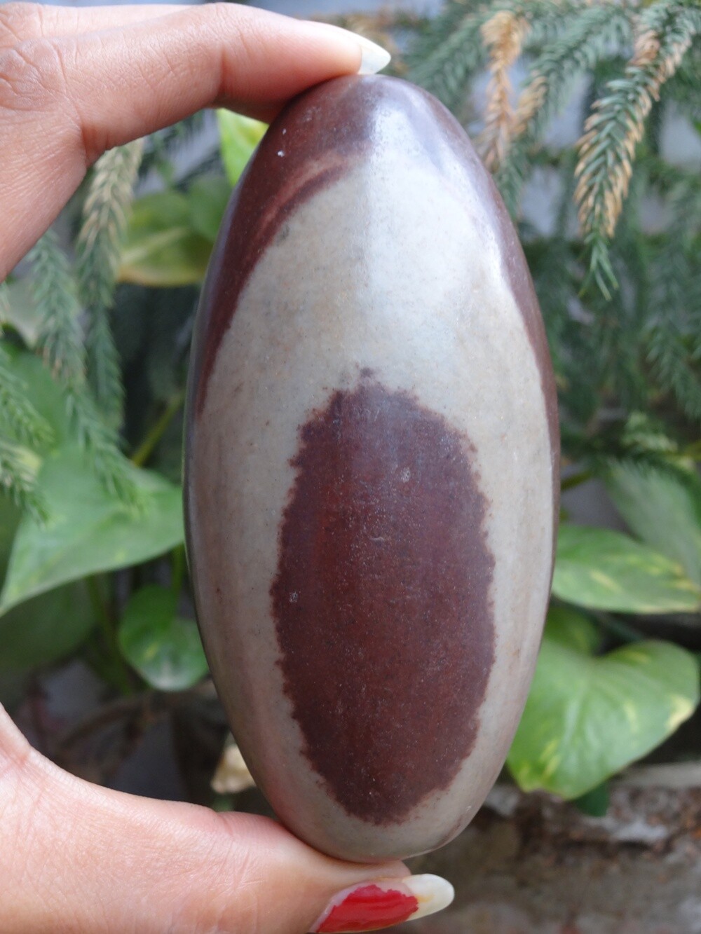 4" Shiva Lingam Stone Narmada River India Very Special & Rare Lingam~I ...