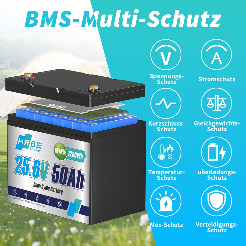 24V 50Ah LiFePO4 Lithium Battery 50A BMS 6000+Deep Cycles for Home RV ...