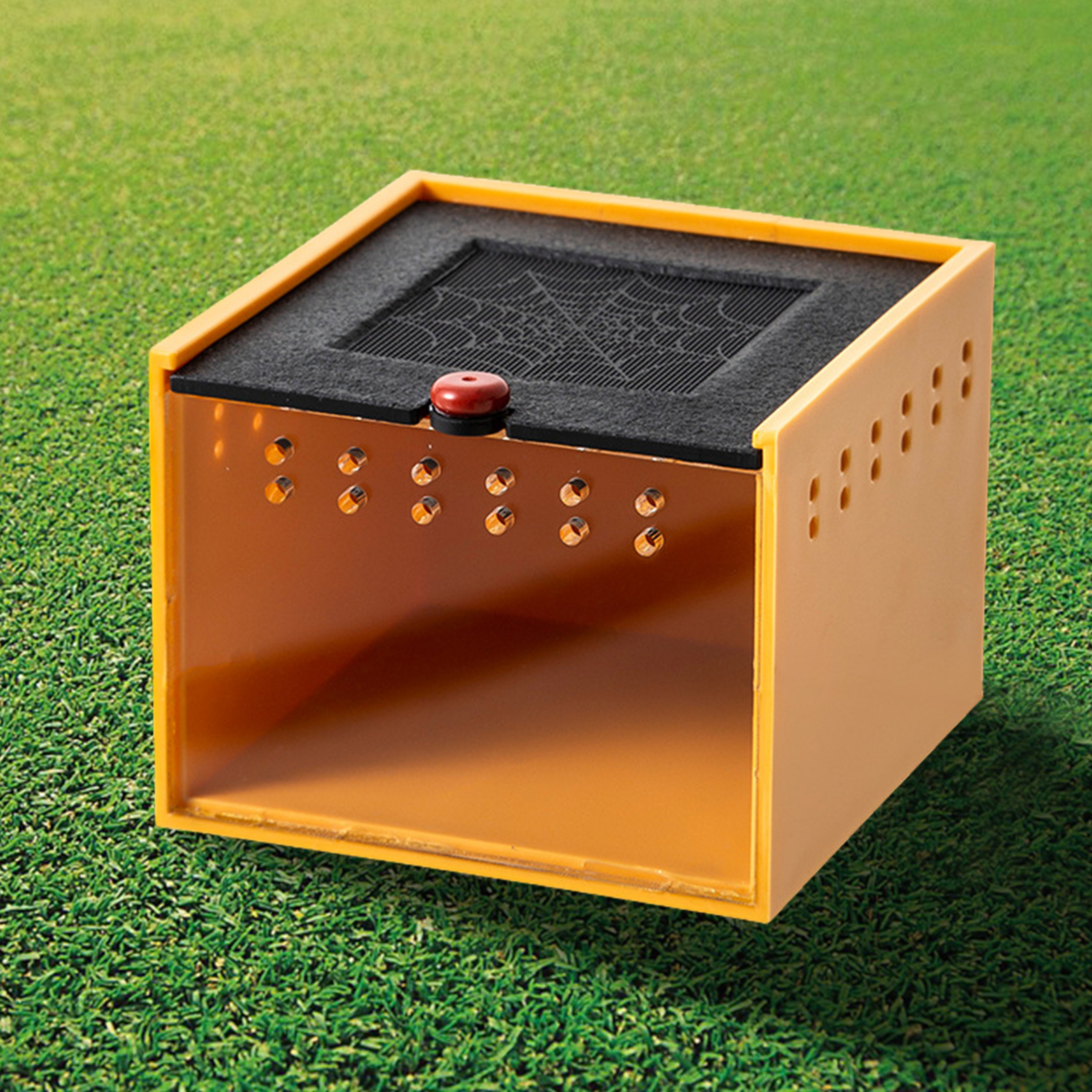Lizard Habitat with Air Mesh Container for Peace of Mind Box with ...
