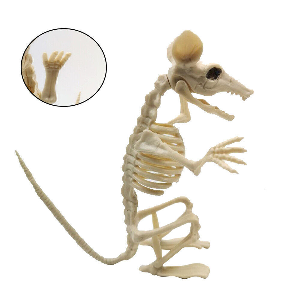 Rat Skeleton Standing Rat Mouse Rodent Skeleton Halloween Scary Party ...