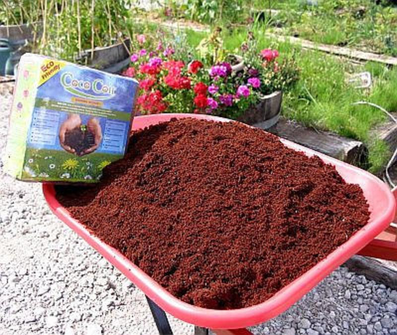 SOILLESS COCOTEK COCONOT RIOCOCO NEOPIT COCO COIR COCONUT SUBSTRATE 5 ...