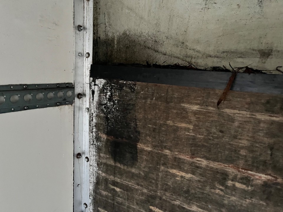 Mercedes Sprinter Van Luton Body | eBay UK