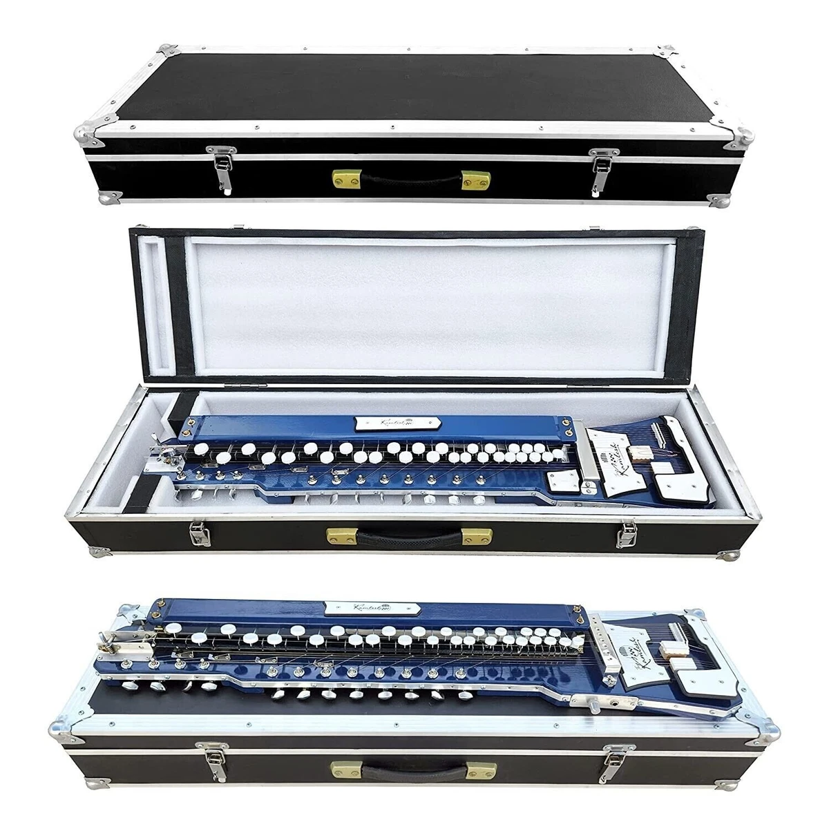 Bulbul Tarang Musical Instrument