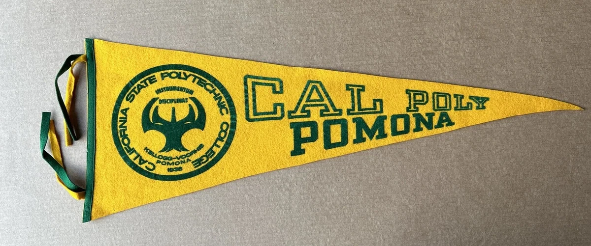 Cal Poly Mustangs Pennant