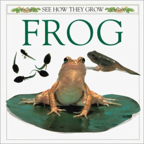 See How They Grow: Frog - Paperback By Royston, Angela - ACCEPTABLE ...