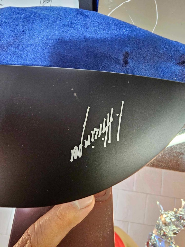 Swarovski Limited Edition 2008 Large "RHINOCEROS" 945461 Crystal ...