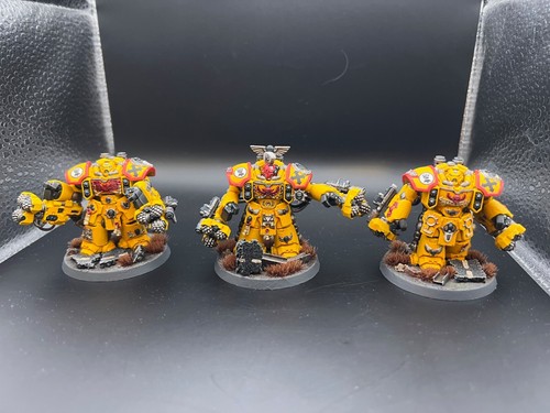 Warhammer 40k Centurion Assault Squad Imperial Fists PAINTED | eBay