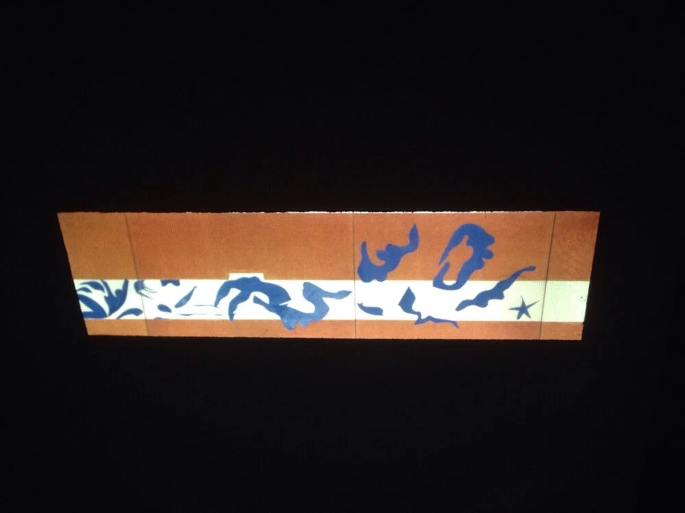 Henri Matisse Swimming Pool