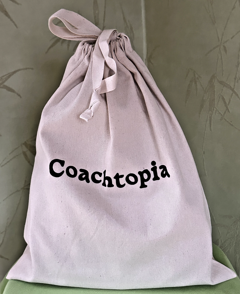 COACH COACHTOPIA ERGO BAG w/MINI FLOWER APPLIQUE:NWT BLACK/ICE BLUE ...