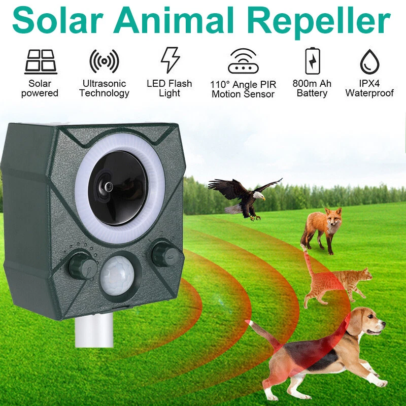 Ultrasonic Sound Animals