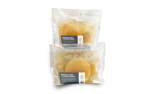 Organic SCOBY 2-Pack | Kombucha Starter Kit with Live Culture for ...