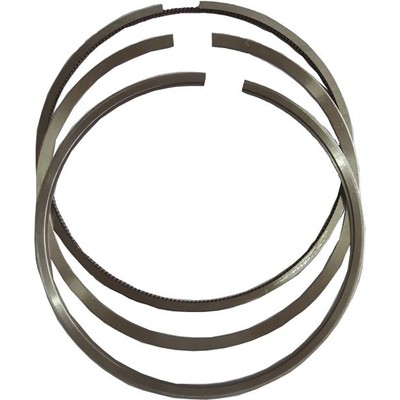 2W1709 Ring Set Fits Caterpillar D250E II D300E D300E II 65C 65D 816F ...