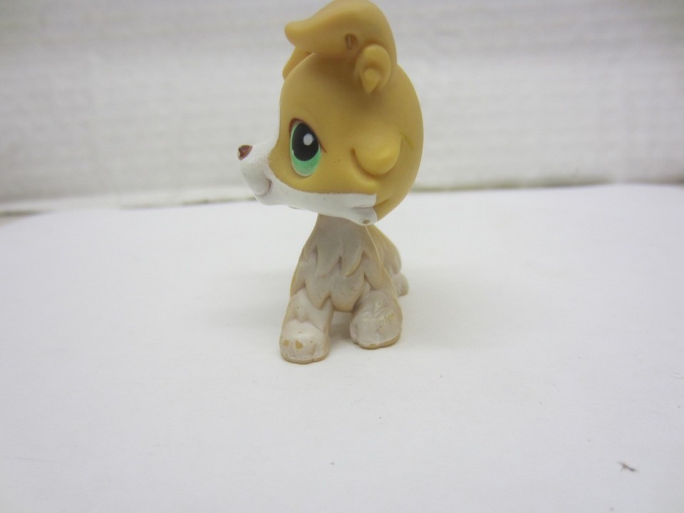 LPS Littlest Pet Shop Yellow White Green Eyes BORDER COLLIE #272 RARE ...