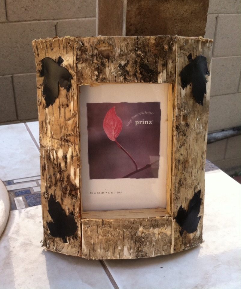 Picture Frame 13x18 cm. 5x7" Prinz Leaves | eBay