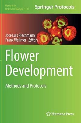 Flower Development: Methods and Protocols: 1110 (Methods in (New) | eBay
