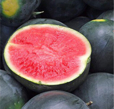 20+Black Diamond Watermelon Seeds Average Fruit WT 30-50lbs USA | eBay