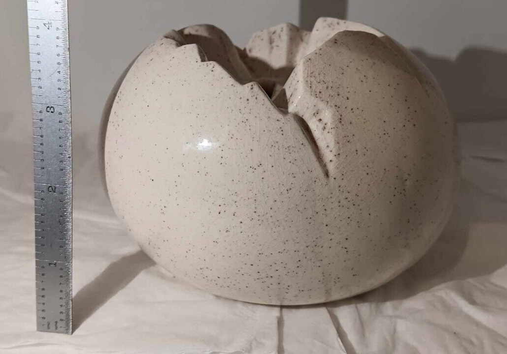 Vintage Ostrich Emu Bird Egg Hatch Ceramic Coin Piggy Bank Two Pieces ...