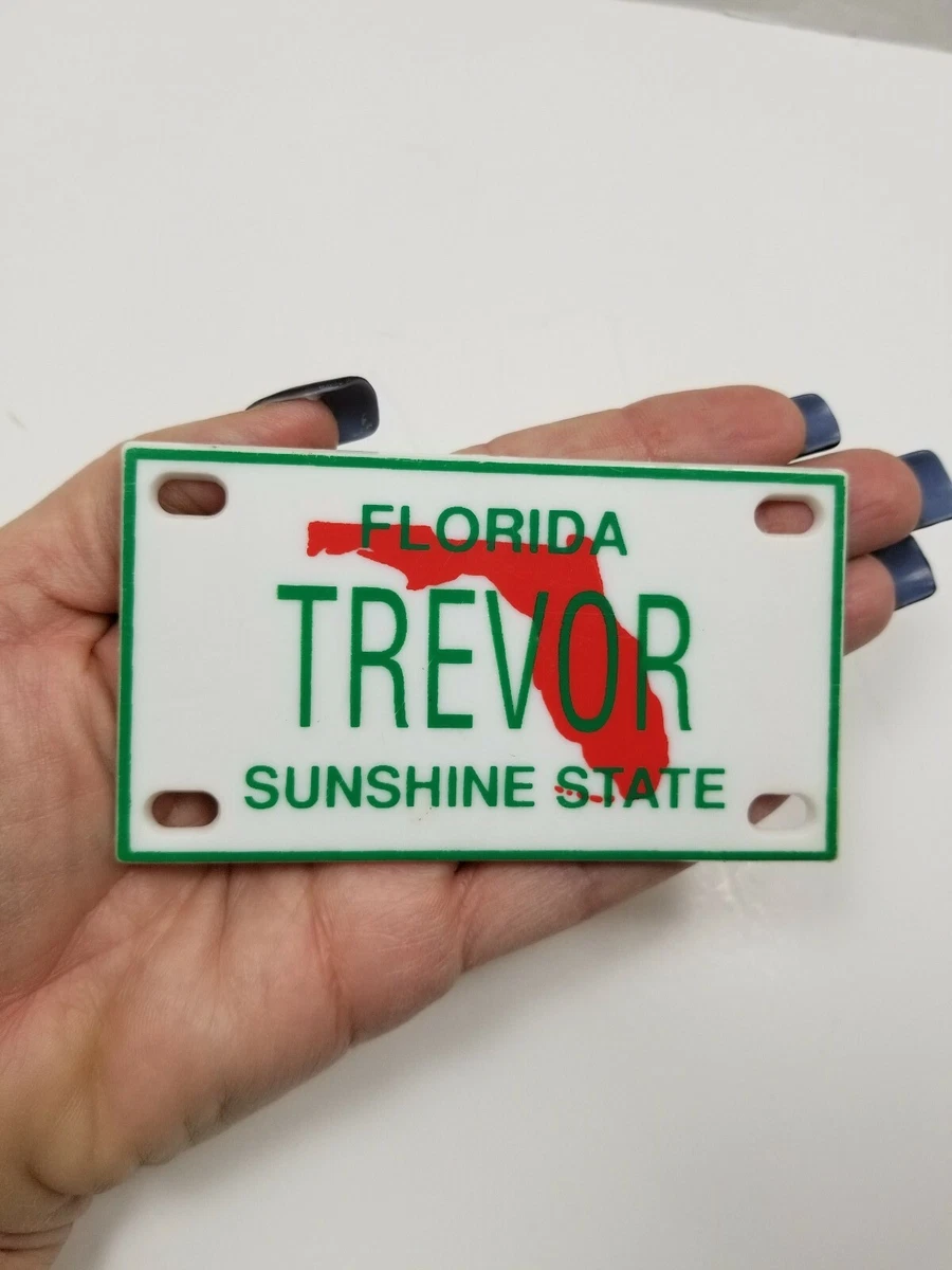 Souvenir State License Plates