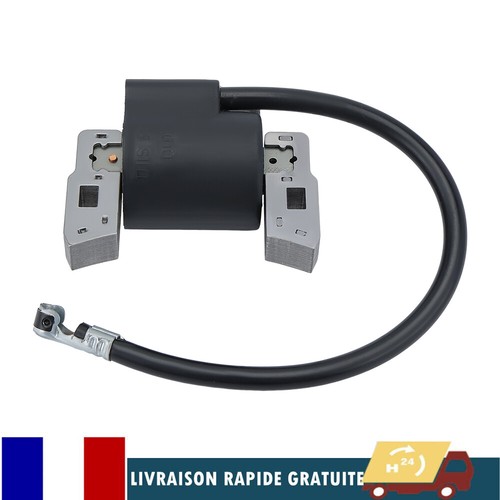 397358 Bougie Bobine d'allumage pour Briggs & Stratton 298316 395490 ...