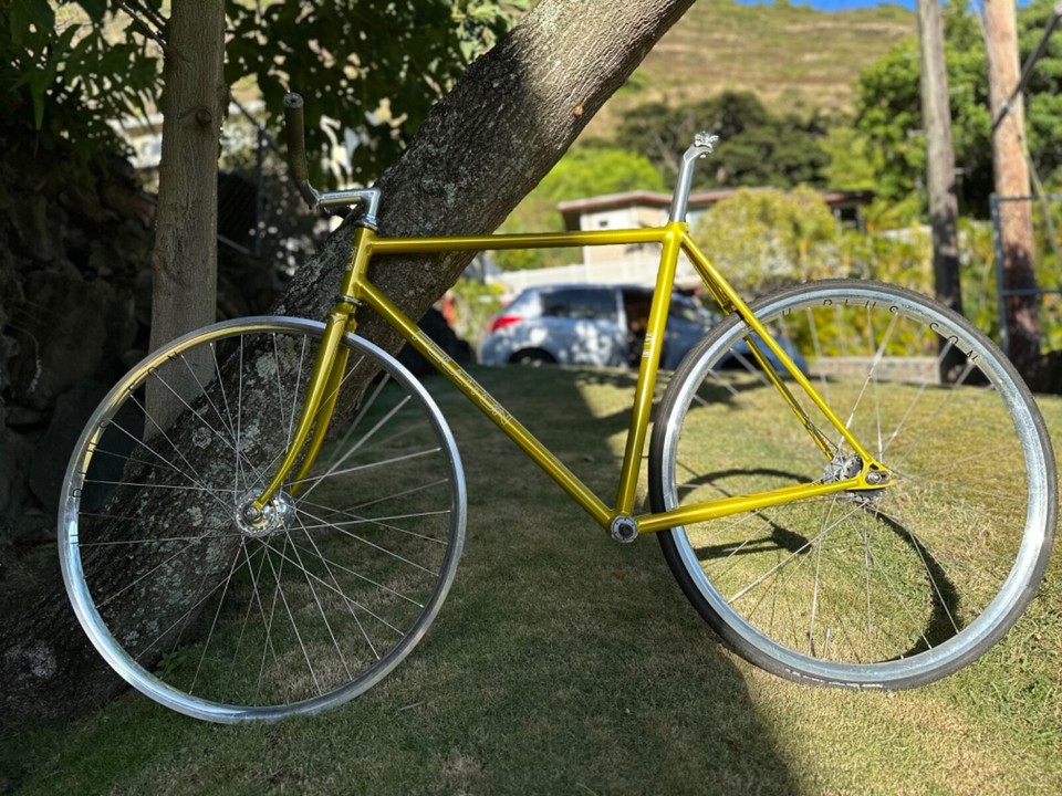 NJS APPROVED Stamped Fixed Gear PELOTON Track Bike Steel Frame Set 52cm ...